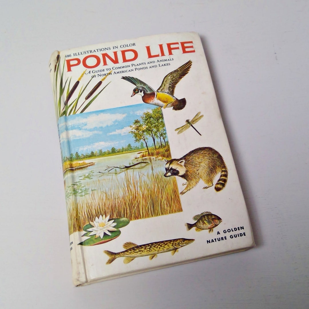 Vintage Golden Guide 1967 Pond Life Hardcover Nature Guide - Etsy