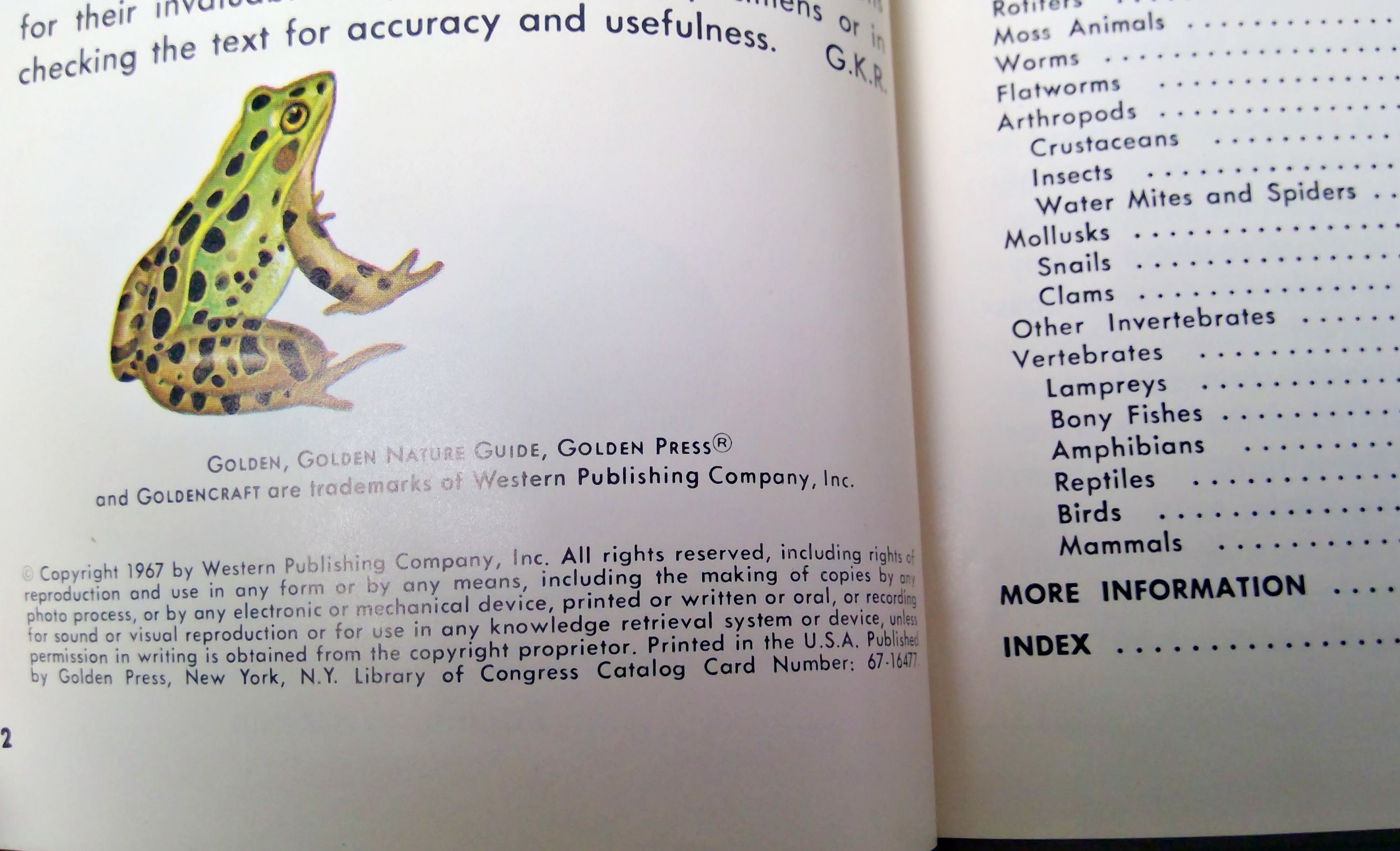 Vintage Golden Guide 1967 Pond Life Hardcover Nature Guide - Etsy