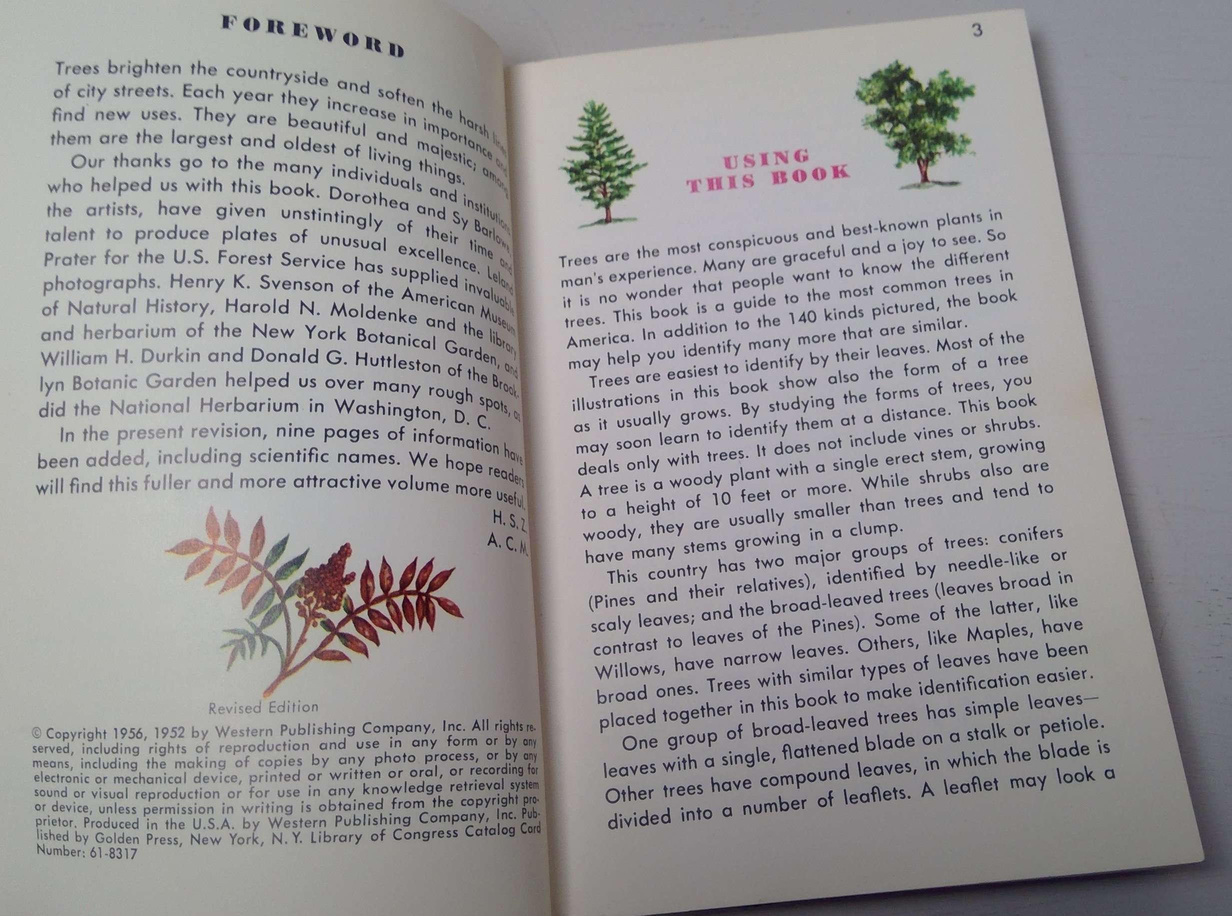 Vintage Golden Guide Trees Pocket Nature Guide Tree Guide 1956 - Etsy