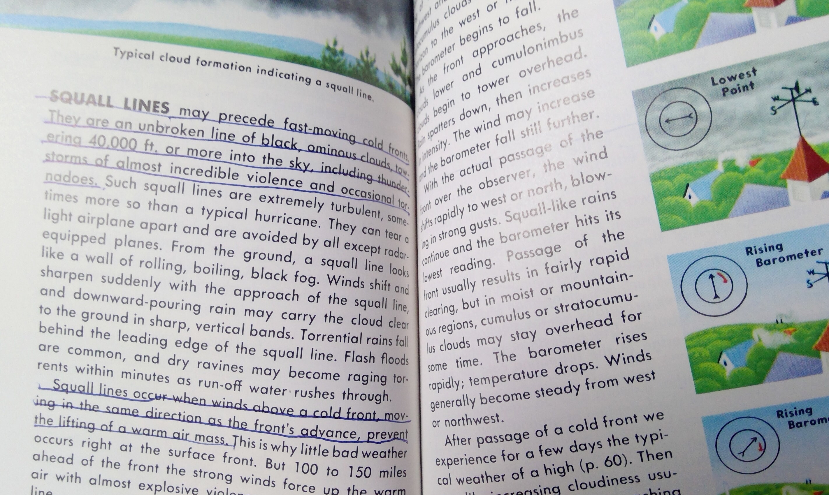 Vintage Golden Guide 1975 Weather Phenomena and Forecasts Pocket Nature ...