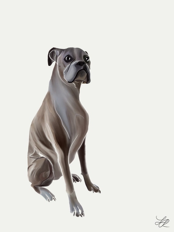 Boxer Print - Etsy