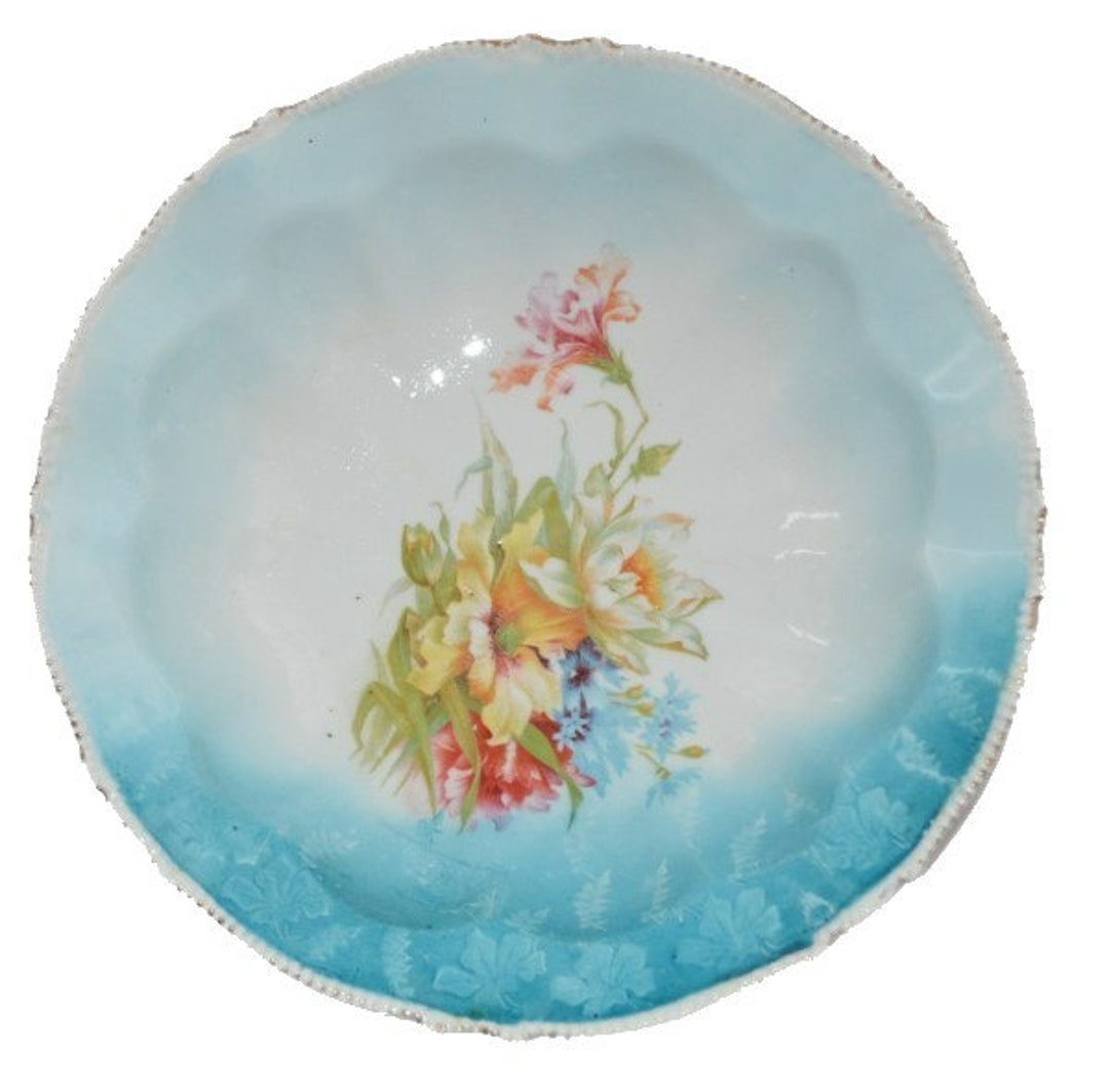 Prussia Porcelain Bowl Beaded Rim Baby Blue Ground Floral Decoration ...