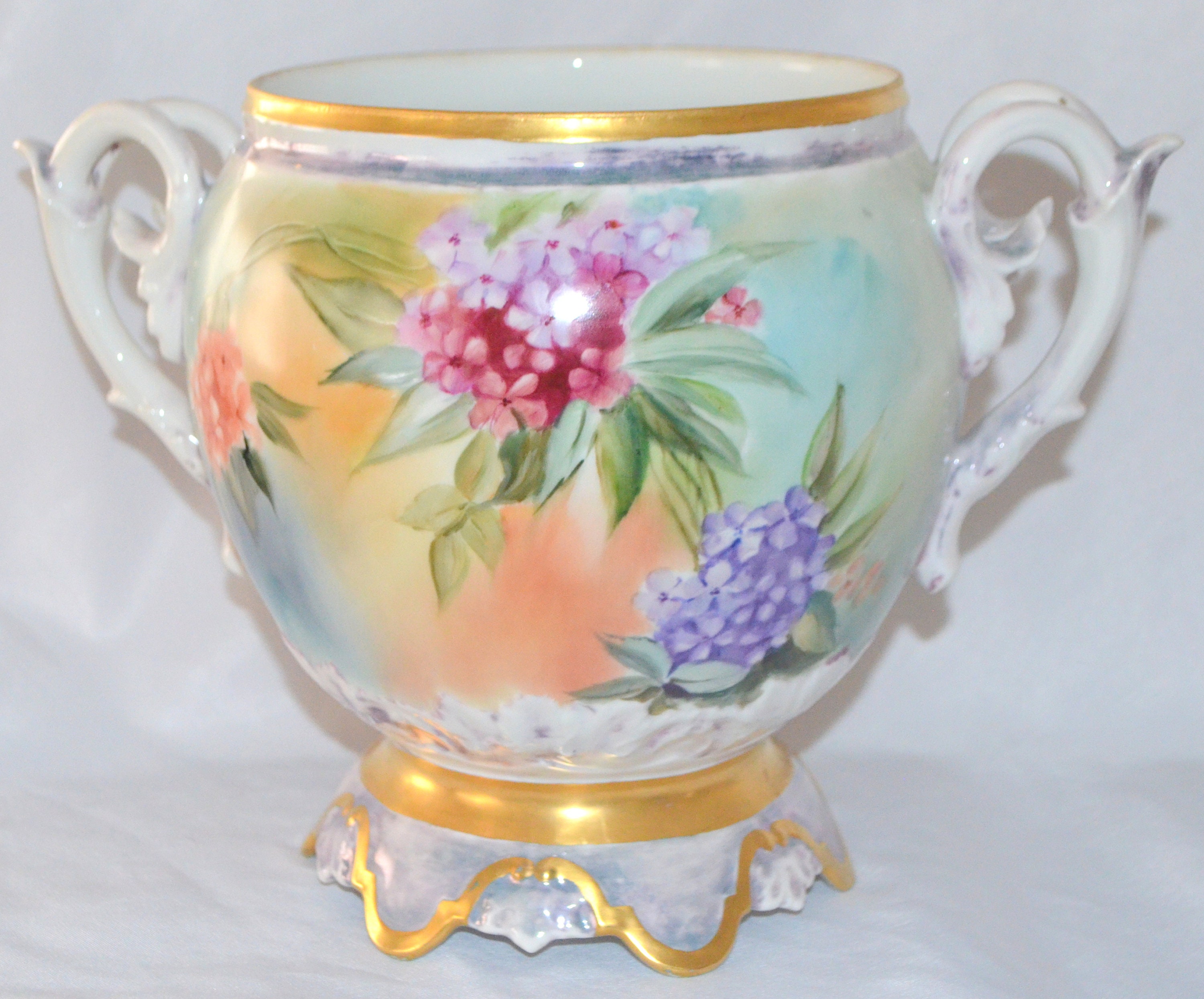 Limoges Jardiniere Planter Vase Rare Mold Multi Phlox Flowers - Etsy Norway