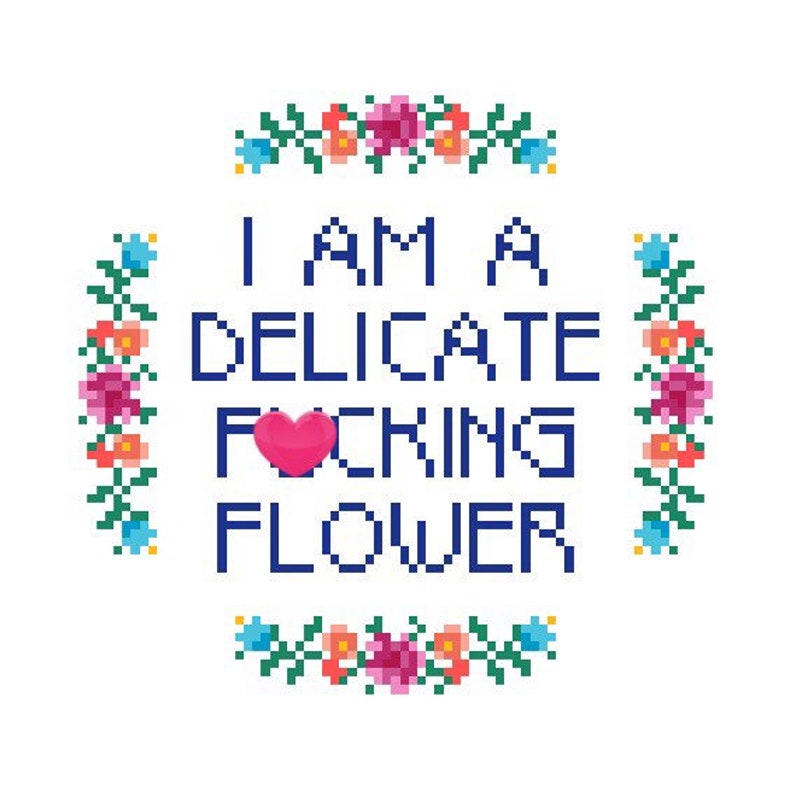 PATTERN: Cross Stitch I Am A Delicate Fcking | Etsy