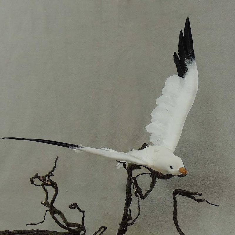Realistic Artificial Birds - Etsy
