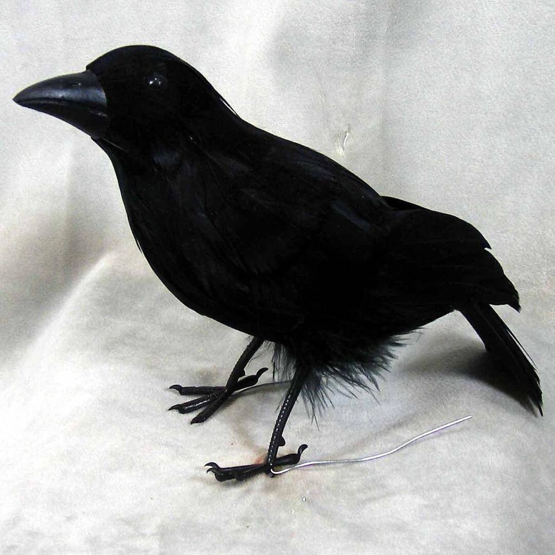 2 Pc, Halloween Crows, 6", All Feathered, Artificial Crows, Fake Crows ...