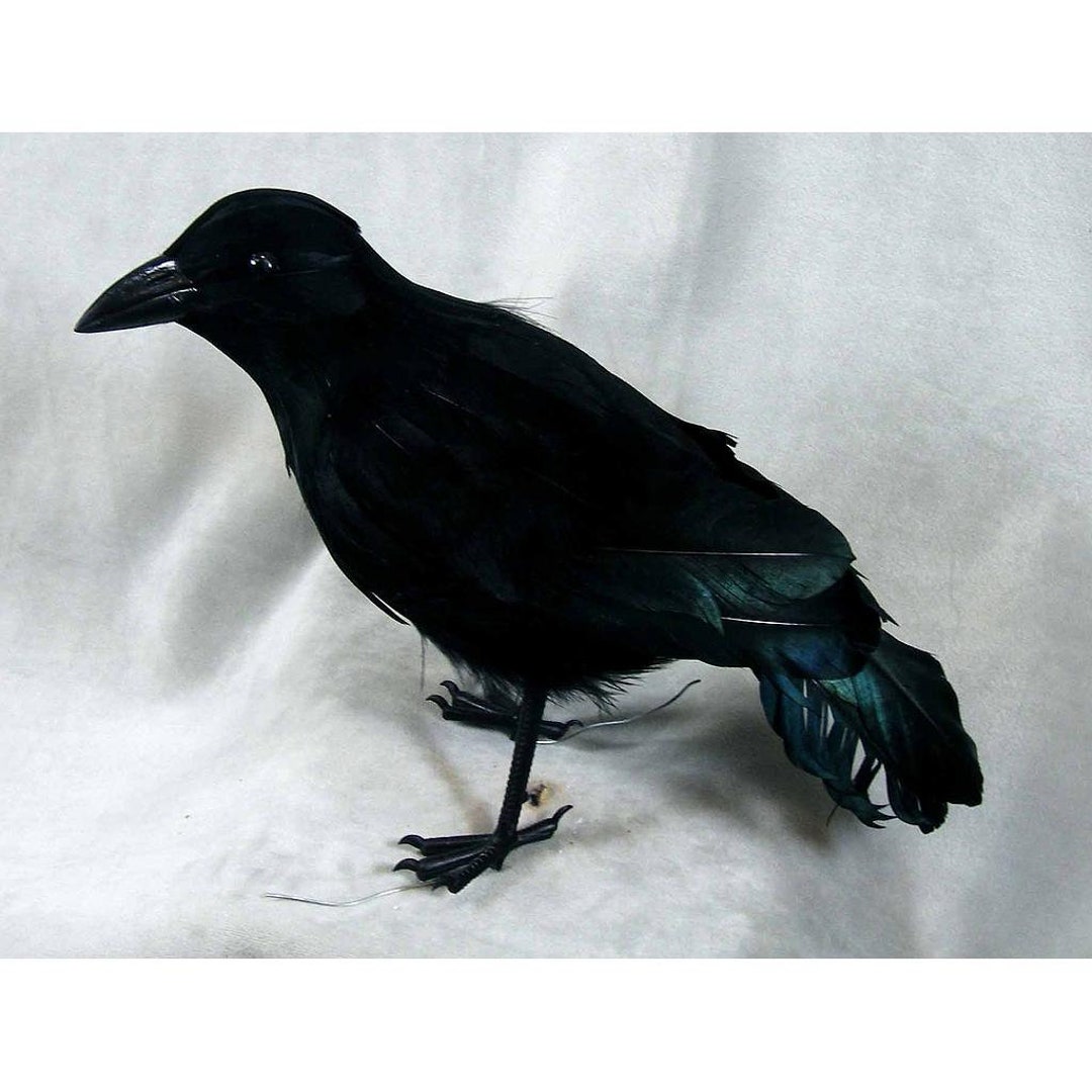 10 Inch Artificial Halloween Crow Decoration, Standing, Feathered Crow ...