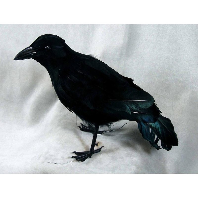 Realistic Fake Crow - Etsy