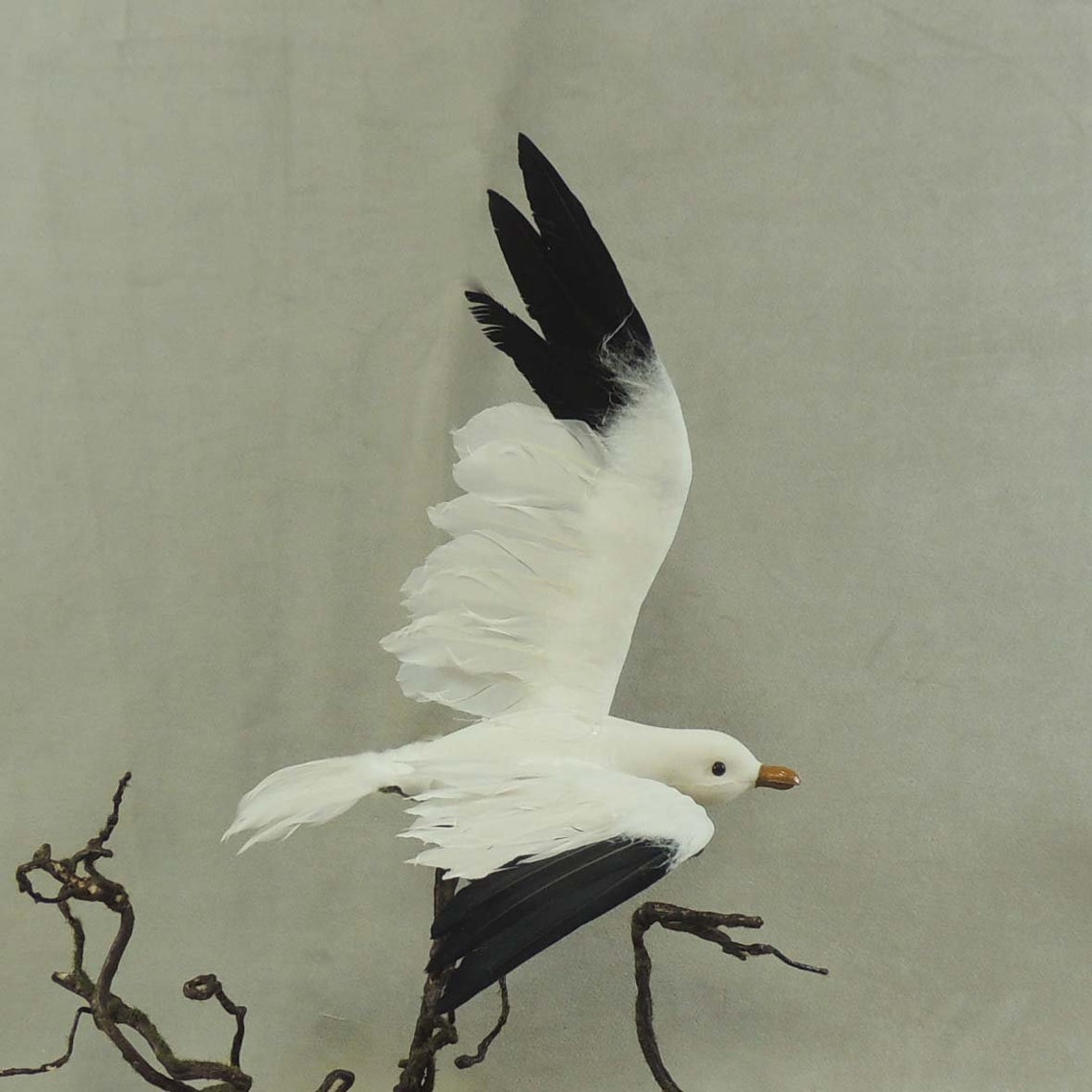 Artificial Flying Seagull 9.5x18 Inches Comes With Hanger - Etsy