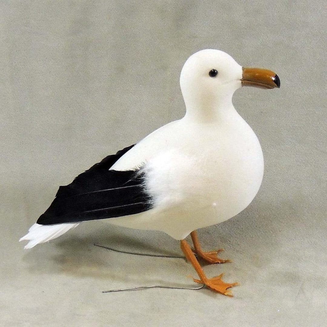 Artificial Seagull, 7.5x10 Inch, Standing Seagull With Wired Feet, per ...