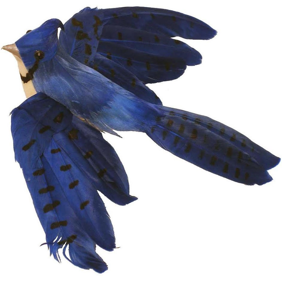 12pc, Artificial Blue Jay, 5 Inch Flying, Made With Real Feathers ...