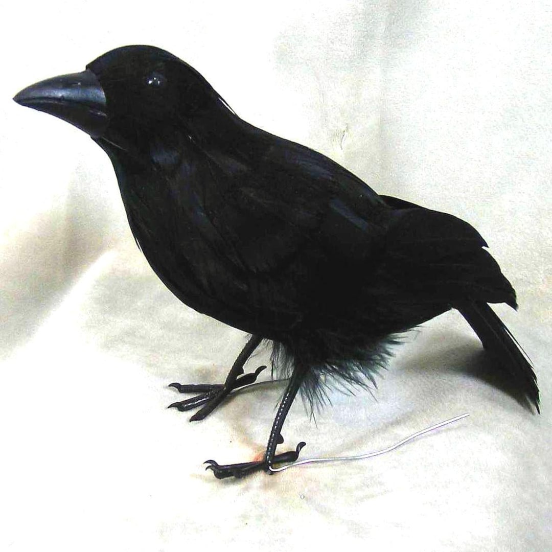 2 Pc, Halloween Crows, 7.5", All Feathered, Artificial Crows, Fake ...