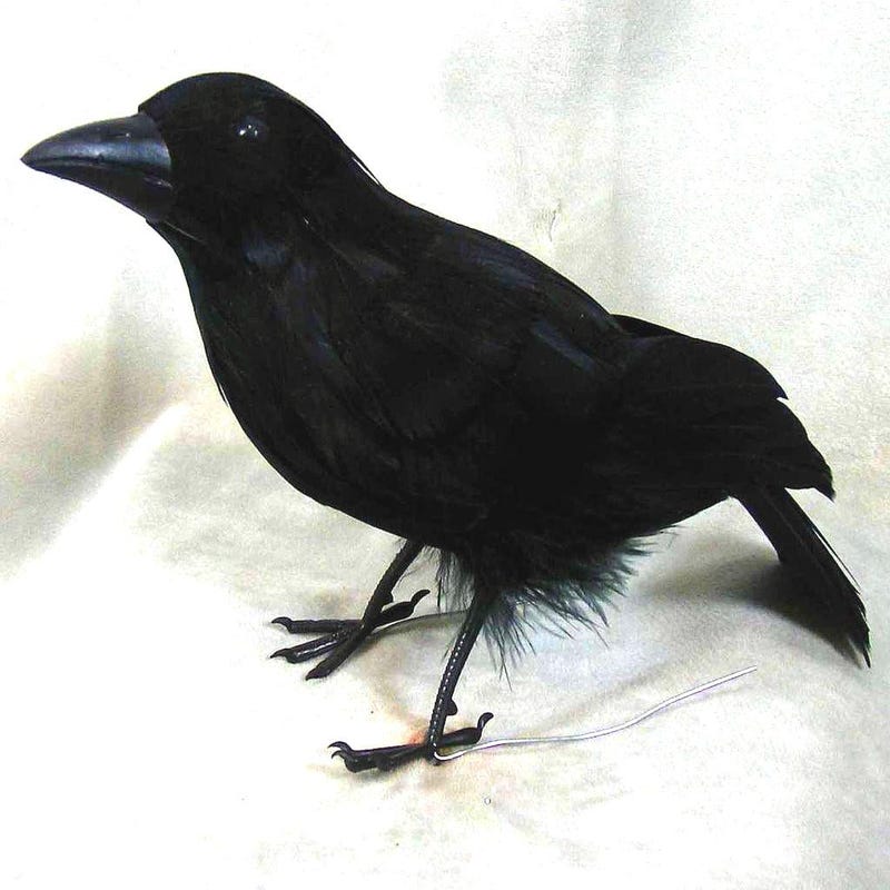 Crow Like the Bird - Etsy