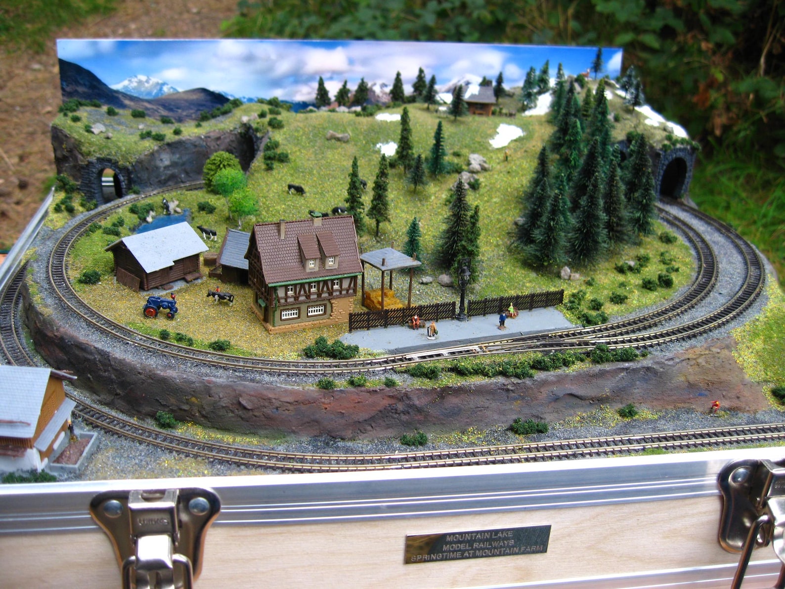 Z Gauge Model Railway in a Case Made to Order by Mountain Lake Model ...