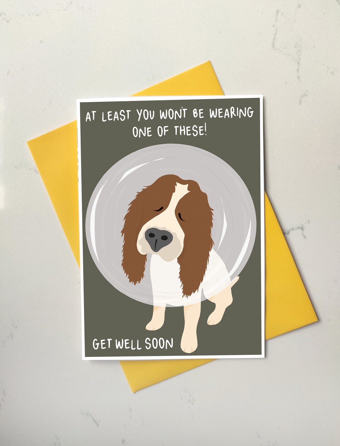 Funny Springer Spaniel Get Well Card - Cone of Shame - Etsy