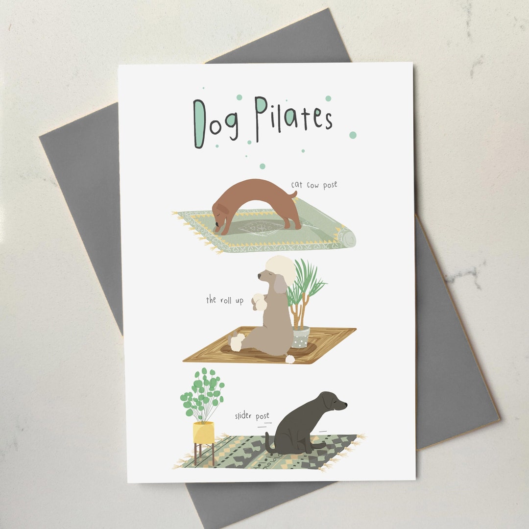 Funny Dog Pilates Card - Pilates Lover Gift - Etsy