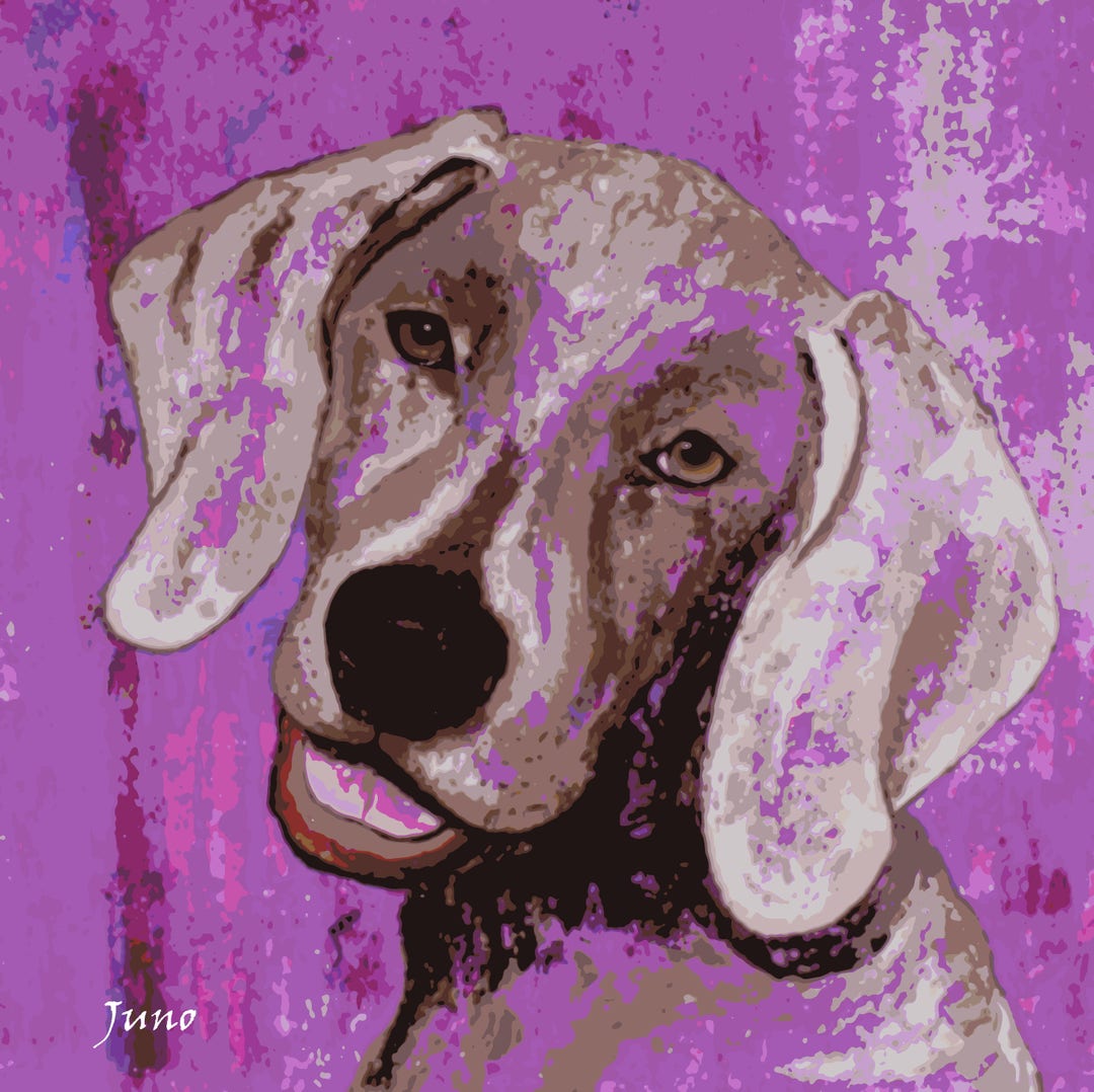 Pop Art Weimaraner, Abstract Purple Weimaraner, Limited Edition Giclee ...