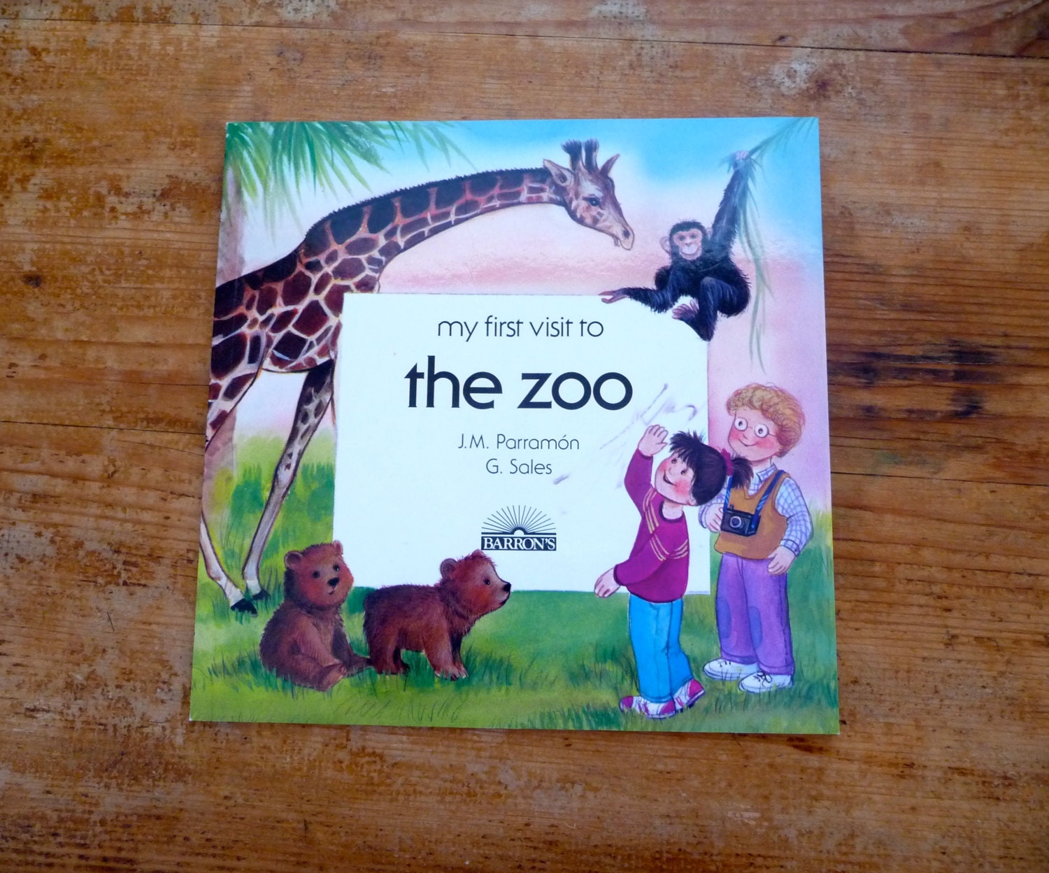 Vintage Children's Book - My First Visit to the Zoo - Etsy