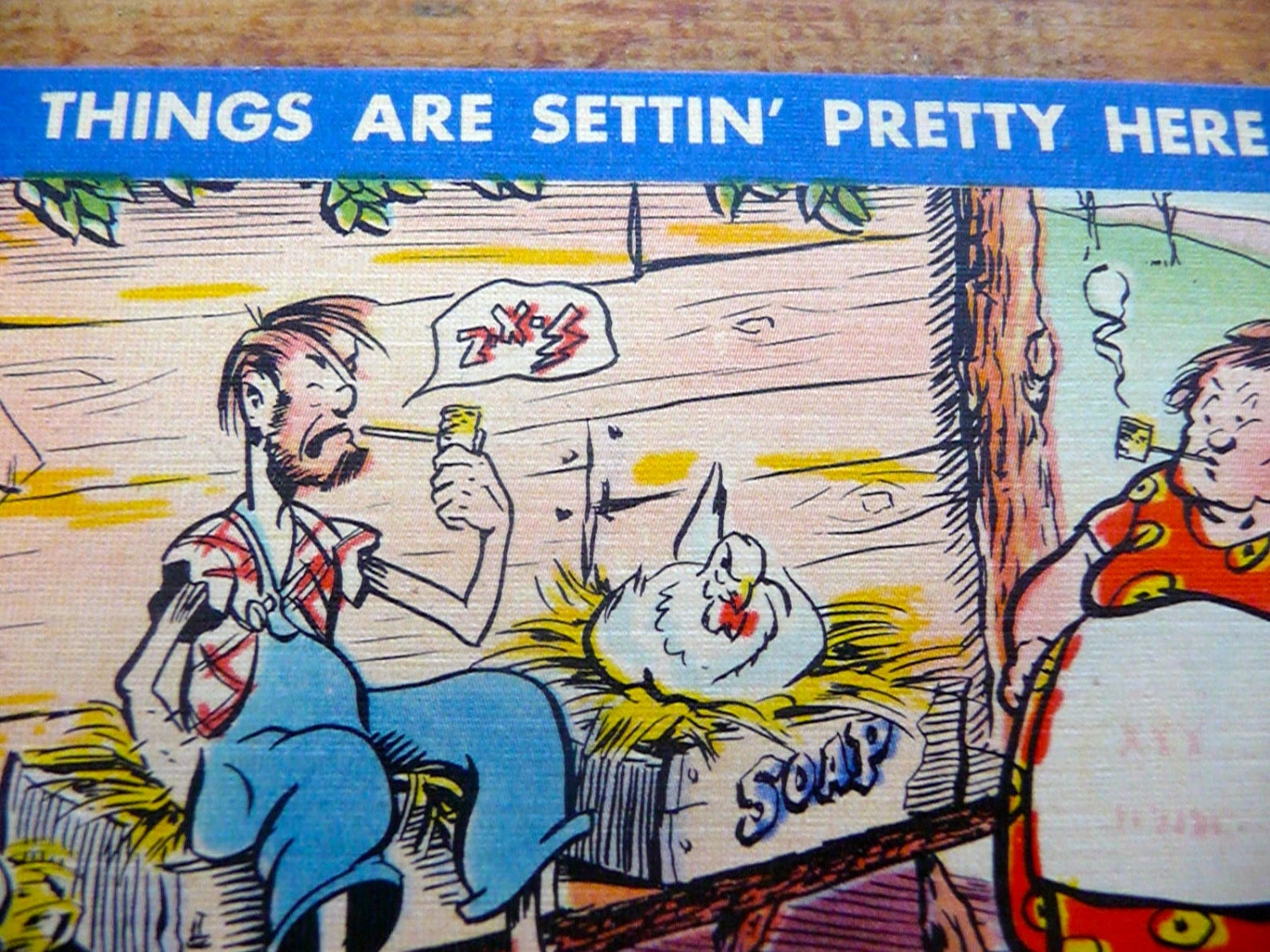 Vintage 1920's Country Humor Postcard - Etsy