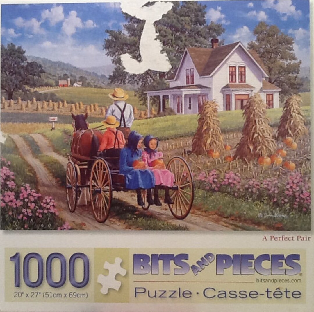 A Perfect Pair John Sloane 1000 Pc Jigsaw Puzzle 20 X 27 Bits and ...
