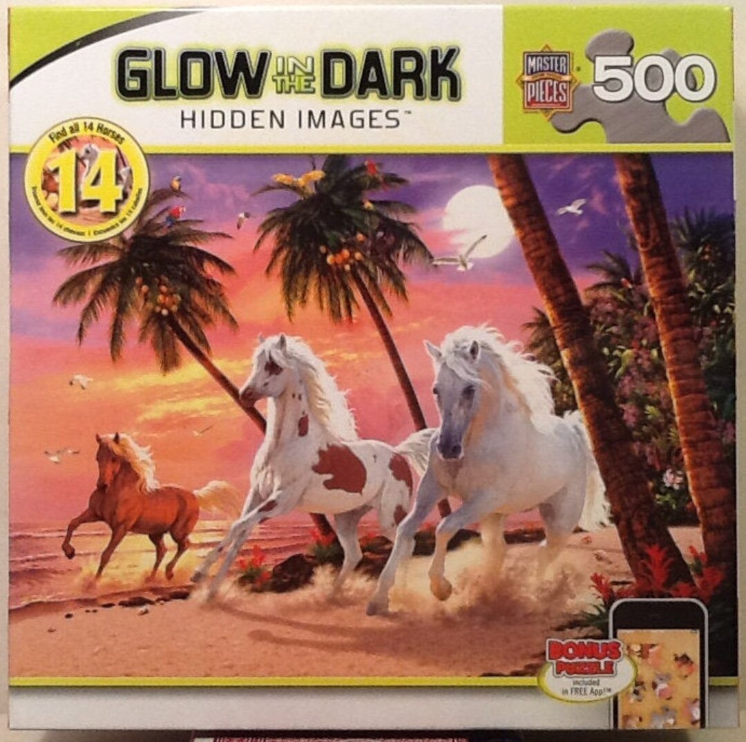 Sunset Splash Glow in the Dark Hidden Images Steve Read 500 Pc Jigsaw ...