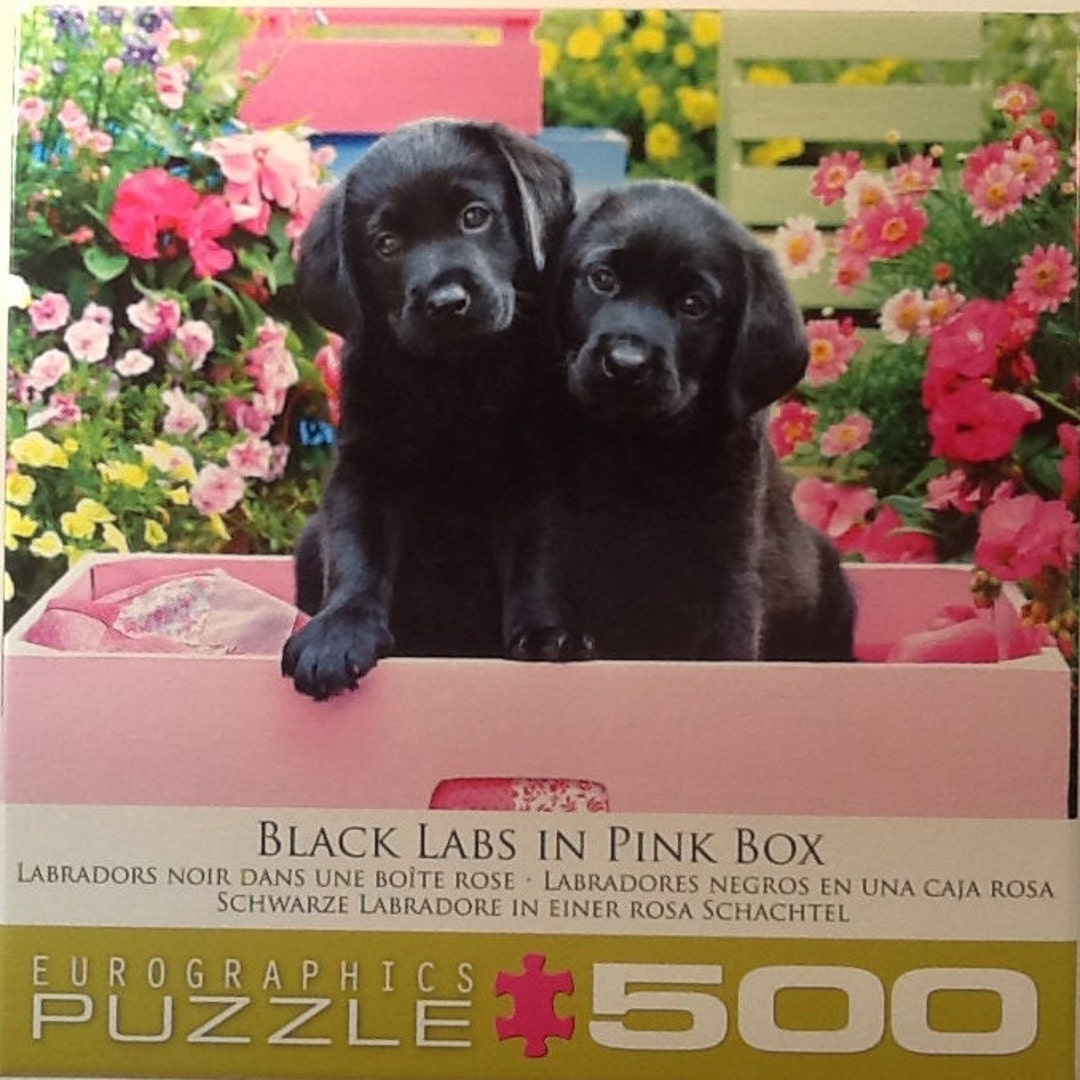 Black Labs in Pink Box MGL 500 Pc Jigsaw Puzzle 19 X 13 Eurographics ...