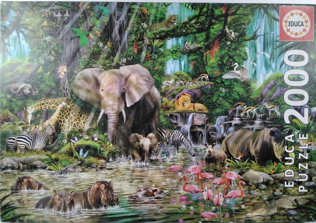 African Jungle John Enright 2000 Pc Jigsaw Puzzle 37.79 X 26.77 Educa ...