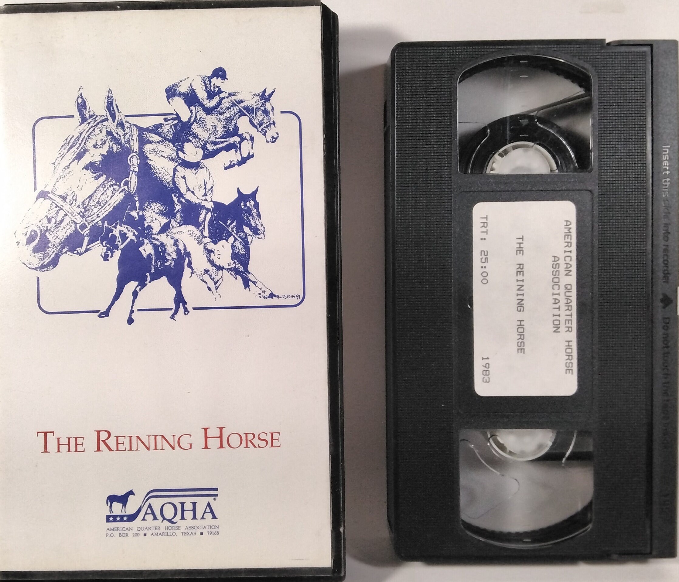 Vintage the Reining Horse VHS American Quarter Horse - Etsy