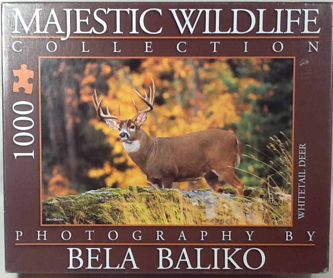 Autumn's Majesty Whitetail Deermajestic Wildlife Collection Bela Baliko ...