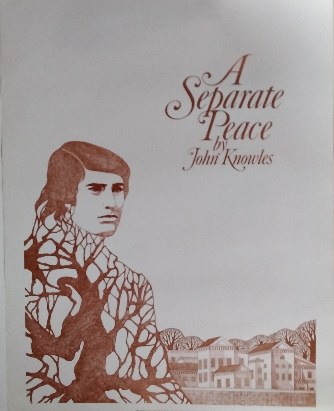 Vintage 1977 Promotional Poster A Separate Peace John Knowles 22-1/2 X ...
