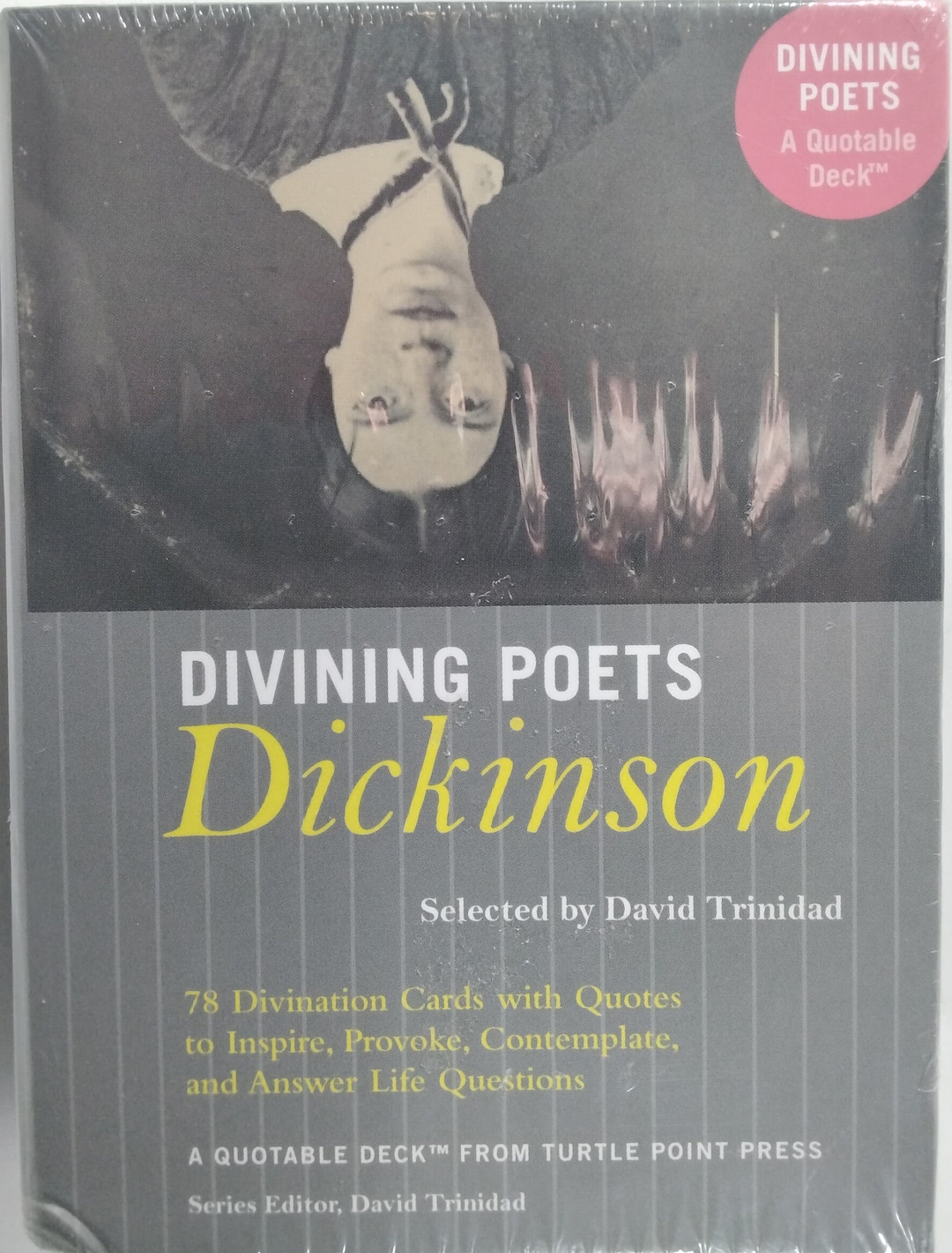 FACTORY SEALED Divining Poets Emily Dickinson Turtle Point Press 78 ...
