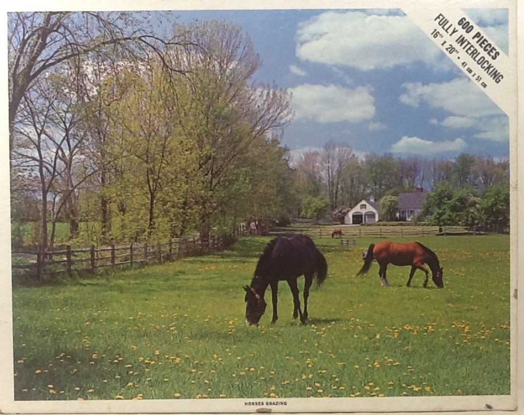 Vintage Horses Grazing Jigsaw Puzzle 600 Pc 16 X 20 Whitman 4648 - Etsy