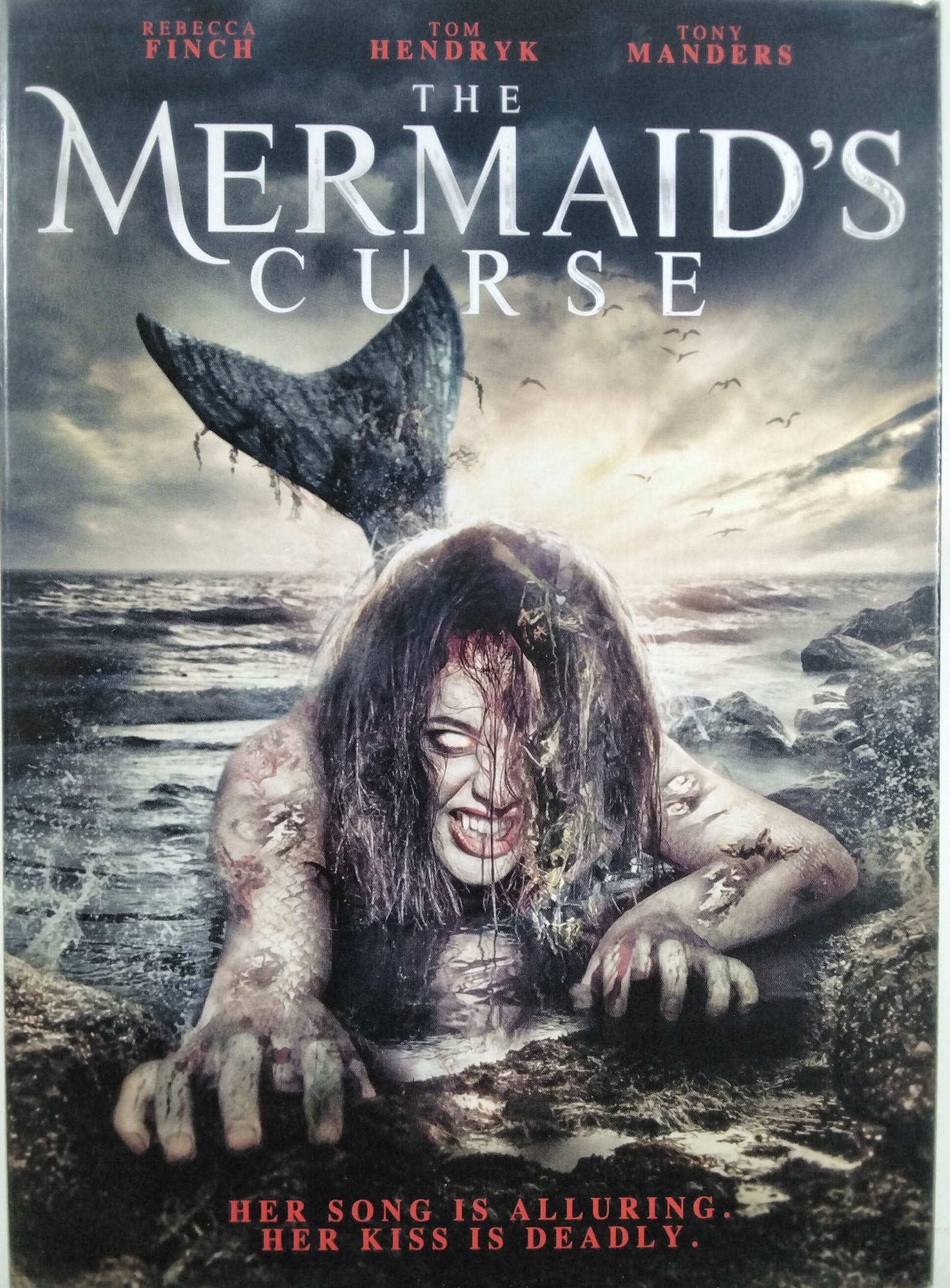 FACTORY SEALED the Mermaid's Curse DVD Rebecca Finch W/slip Case - Etsy