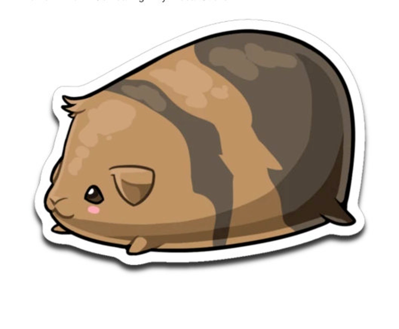 Guinea Pig Decal Pack 5 Vinyl Decals Cute Cavy Animal | Etsy