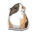 Guinea Pig Decal Pack 5 Vinyl Decals Cute Cavy Animal Sticker Set for ...