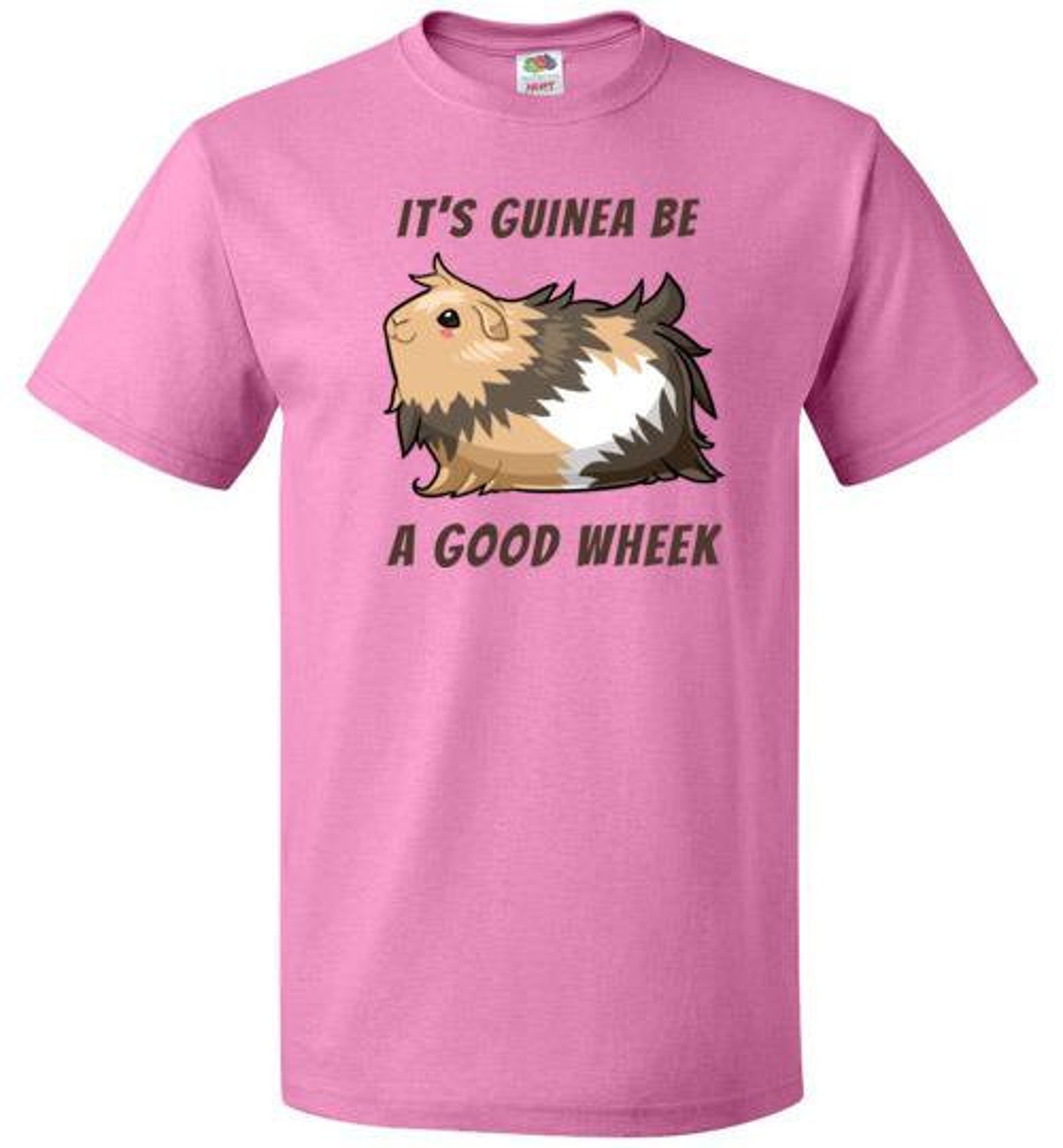 Guinea Pig Shirt for Girls Boys Women Guinea Be a Good Wheek - Etsy