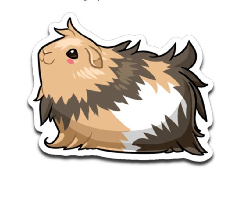 Guinea Pig Decal Pack 5 Vinyl Decals Cute Cavy Animal - Etsy
