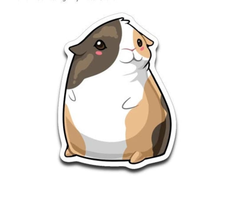 Guinea Pig Decal Cute Brown White & Tan Cavy Animal Vinyl | Etsy