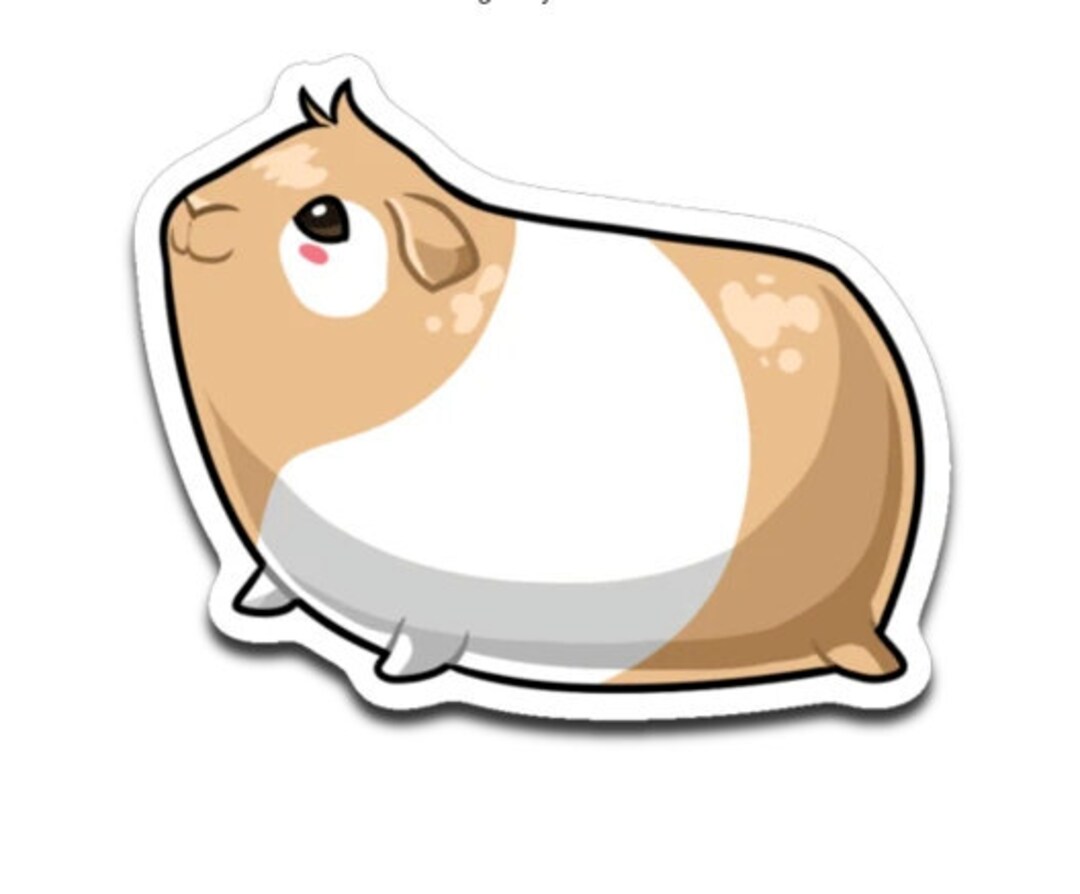 Guinea Pig Decal | Cute White & Tan Cavy Animal Vinyl Sticker for ...