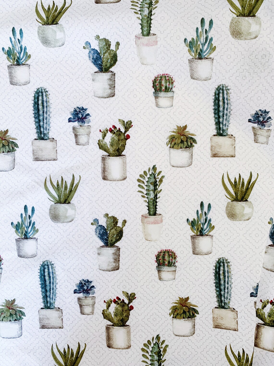 Succulent Cactus Plant Face Mask With Filter Pocket Nose Wire - Etsy