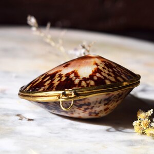 Peppermint Honey Lip Balm in Shell - Etsy