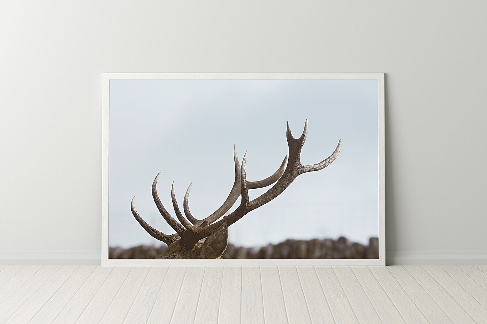Deer Antler Printable Wall Art Landscape Photo Deer - Etsy