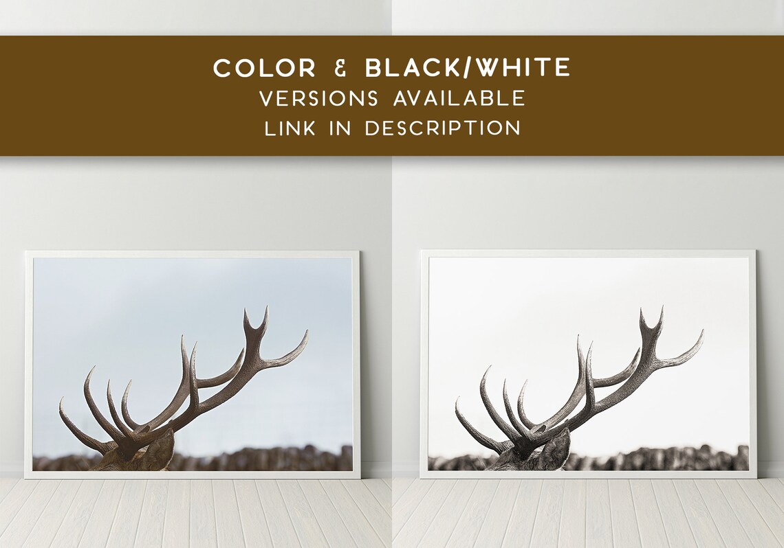 Deer Antler Printable Wall Art, Landscape Photo, Deer Photography, Stag ...
