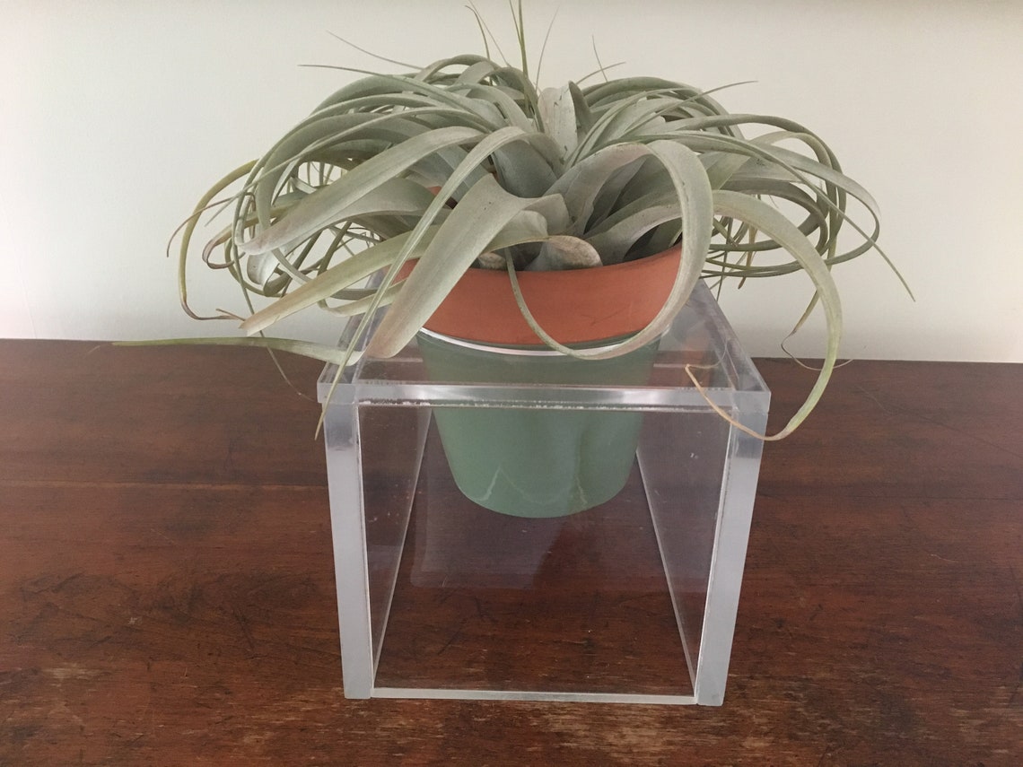 Vintage Lucite Plant Stand / Pot Holder Clear Hard Plastic - Etsy.de