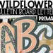 Boho Desert Classroom Decor, A-Z Bulletin Board Letters, Punctuation ...