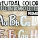 Animal Print Back to School Bulletin Board Kit, Boho Neutral Theme ...
