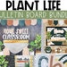 Plant Life Classroom Decor Bulletin Board Kit Classroom - Etsy