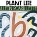 Plant Life Classroom Decor A-Z Bulletin Board Letters - Etsy