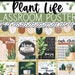 Plant Life Classroom Posters Easy and Modern Classroom - Etsy
