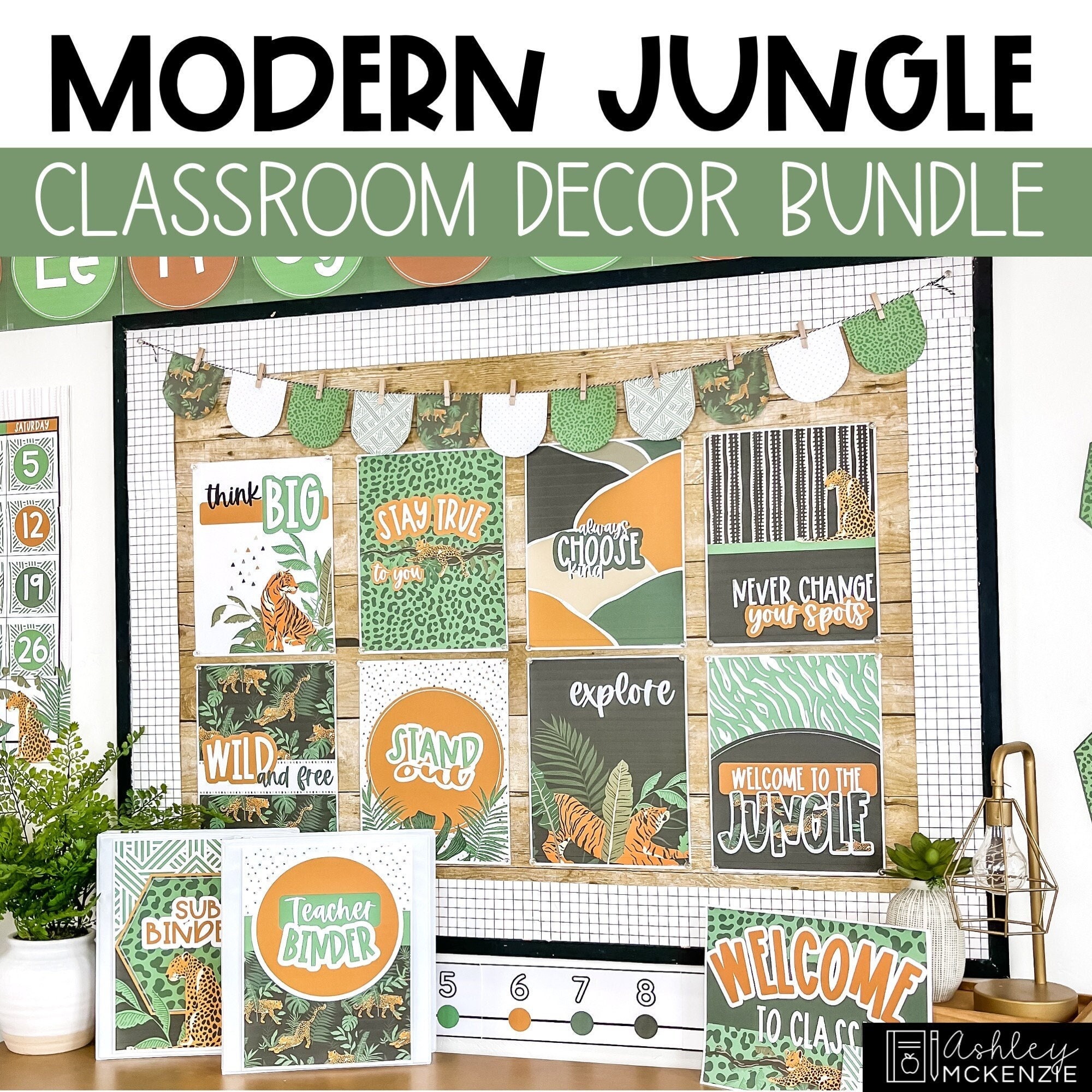 Jungle Themed Classroom